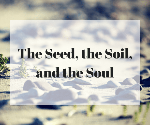 The Seed, the Soil, and the Soul | Steve Schramm